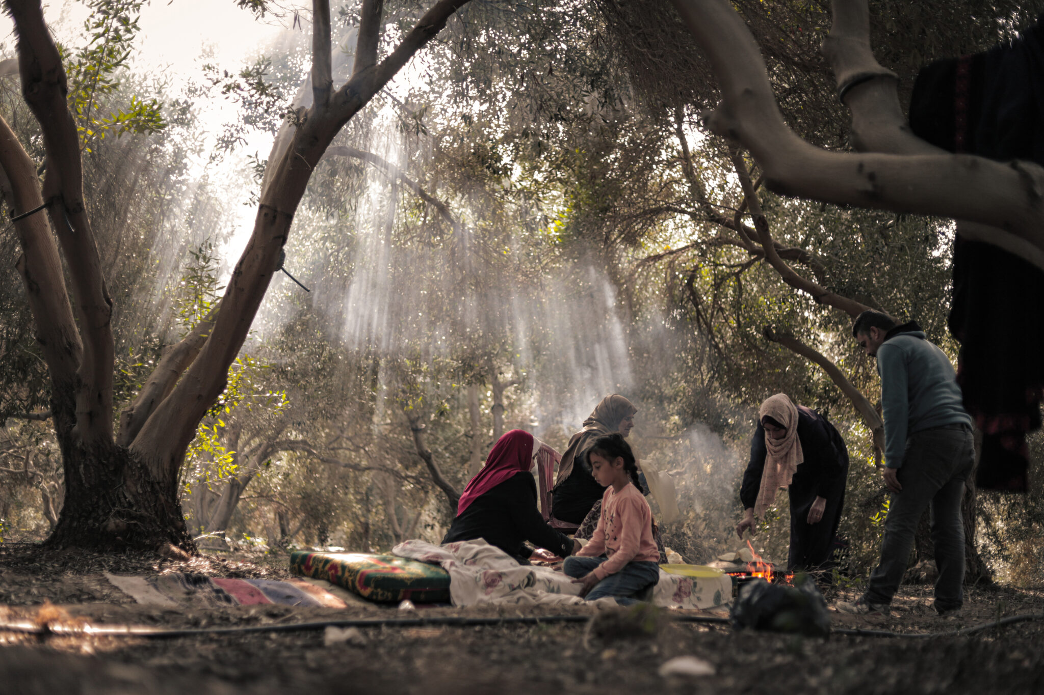 BUY ART TO SUPPORT GAZAN ARTISTS AND SHABABEEK ART CENTRE – Fotogalleriet